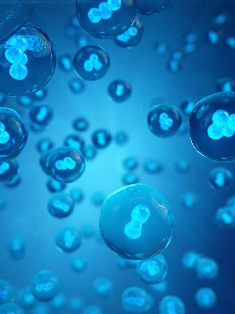 Reproductive Genetics - Los Angeles, CA | UCLA Health