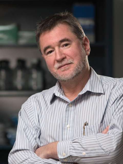 Zoran Galic | UCLA Health Jonsson Comprehensive Cancer Center