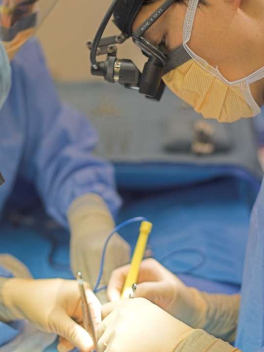 Endocrine Surgery | UCLA Health