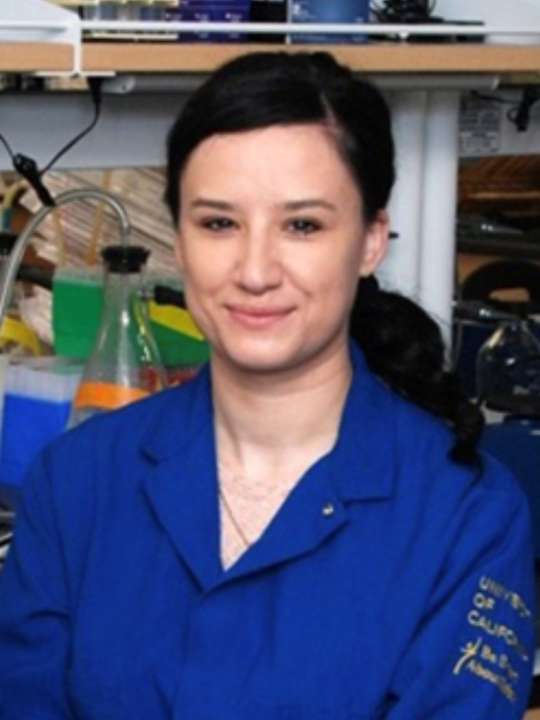 Fine-tuning 3D lab-grown mini tumors to help predict how patients ...