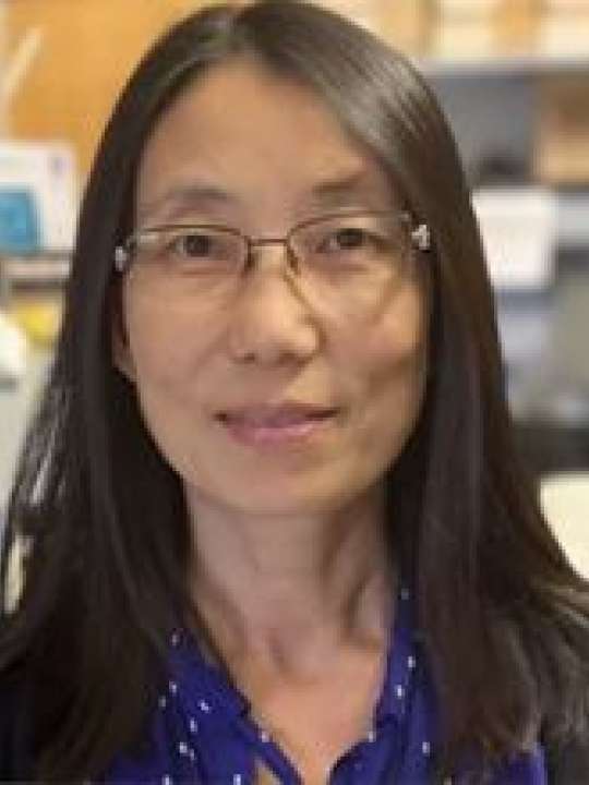 Research Profiles - Pulmonary, Critical Care & Sleep Medicine | UCLA Health
