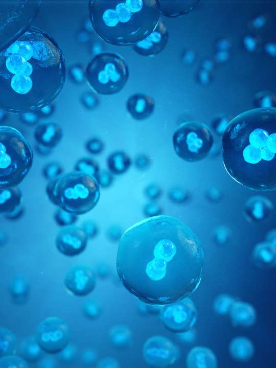 Reproductive Genetics - Los Angeles, CA | UCLA Health