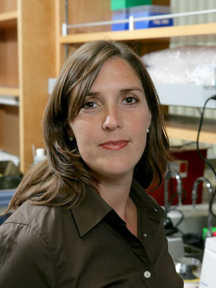 April Pyle, PhD - Member Directory | UCLA Health Jonsson Comprehensive ...