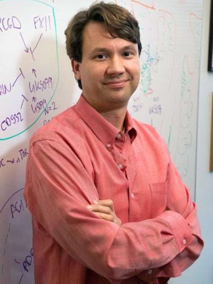 Stem cell treatment for dementia clears major hurdle | UCLA Health