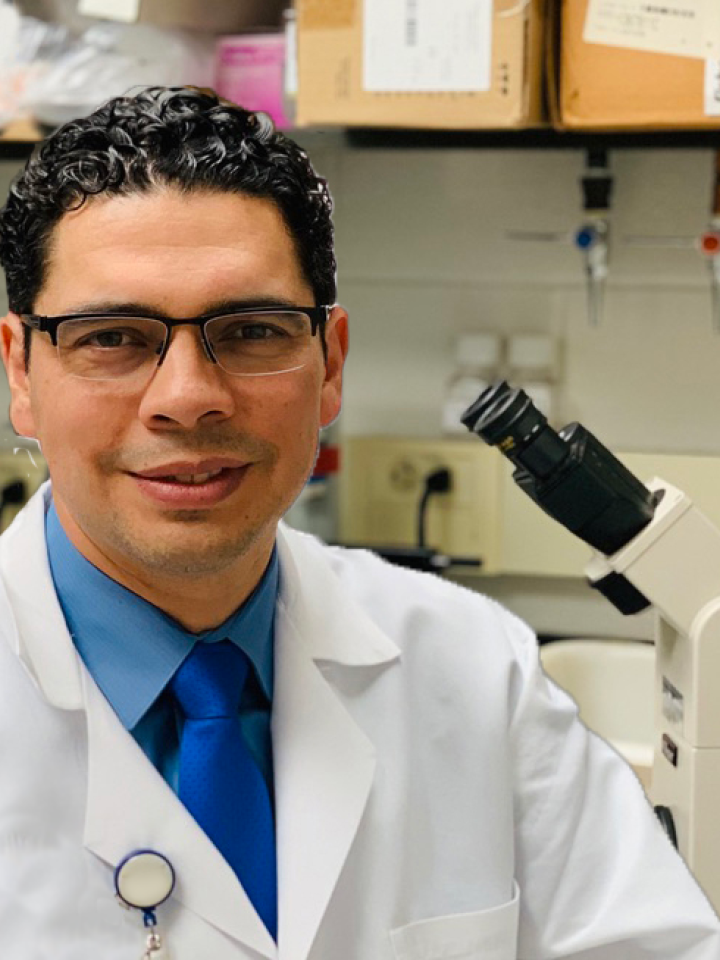 News - Surgery | UCLA Health