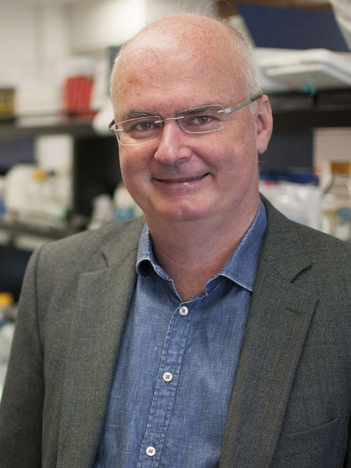 Robert Schiestl, PhD - Member Directory | UCLA Health Jonsson ...