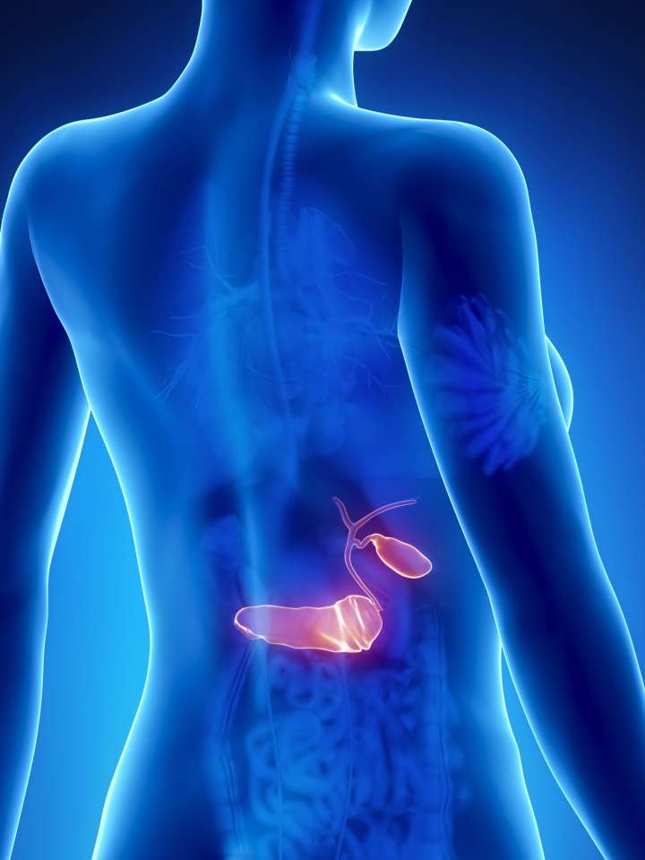 Pancreas Disease | UCLA Health - Los Angeles, CA