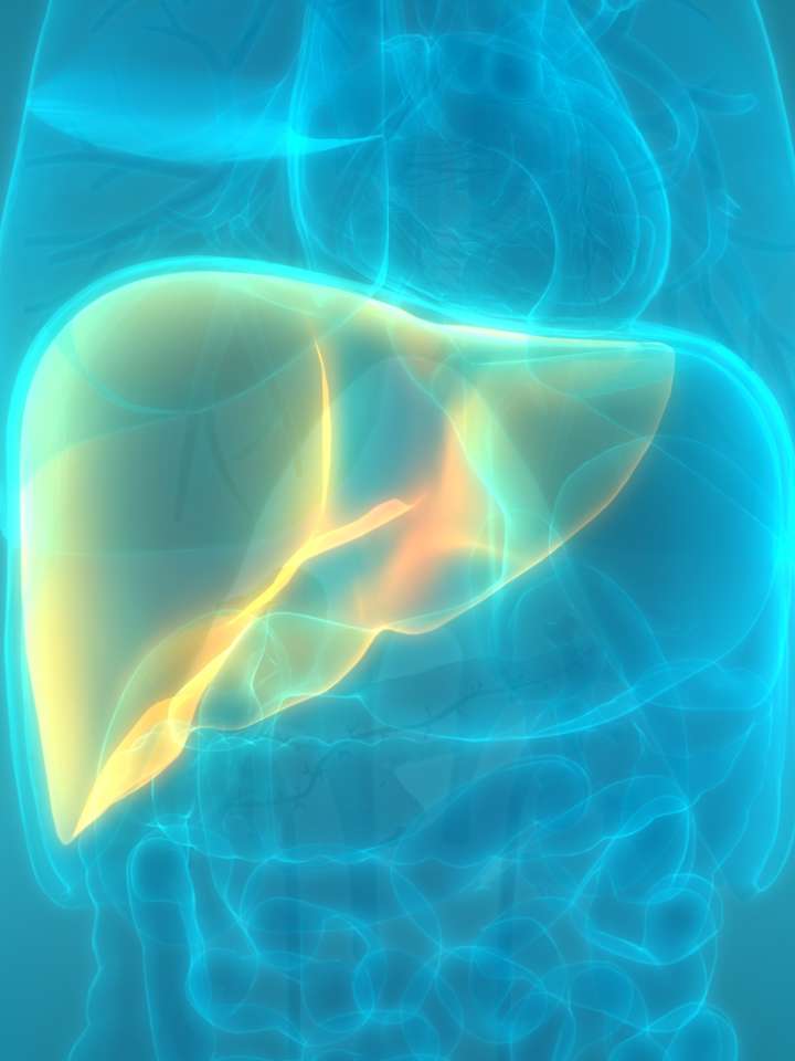 Hepatology | UCLA Health - Los Angeles, CA