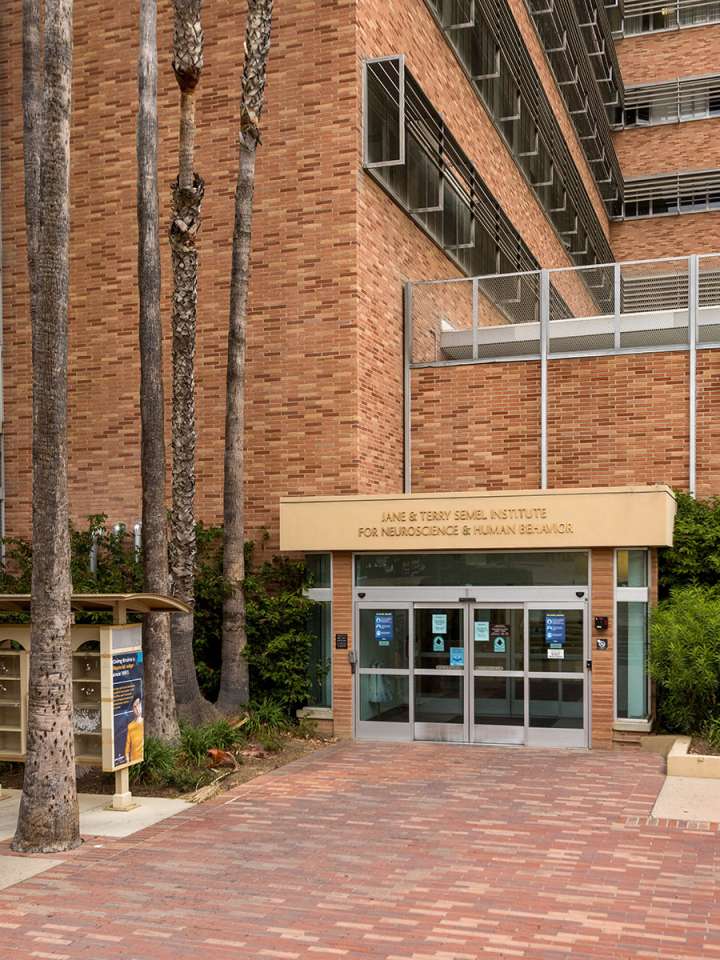 UCLA Mindfulness Center, Los Angeles | UCLA Health