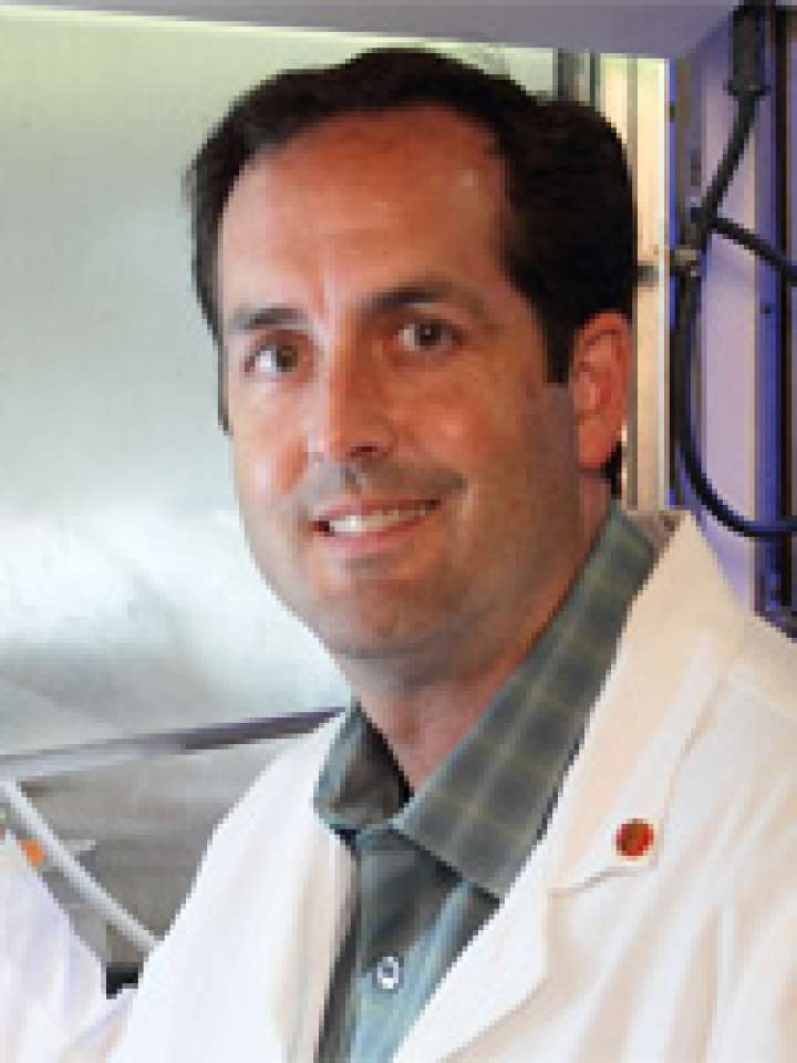 Robert Prins, PhD | UCLA Health Jonsson Comprehensive Cancer Center