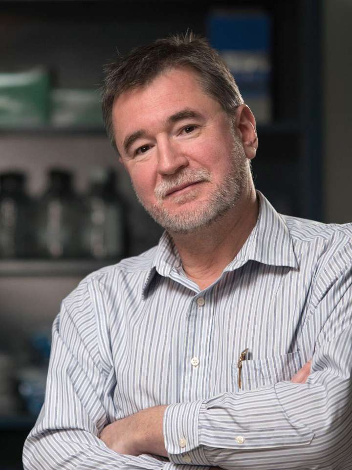 Zoran Galic | UCLA Health Jonsson Comprehensive Cancer Center