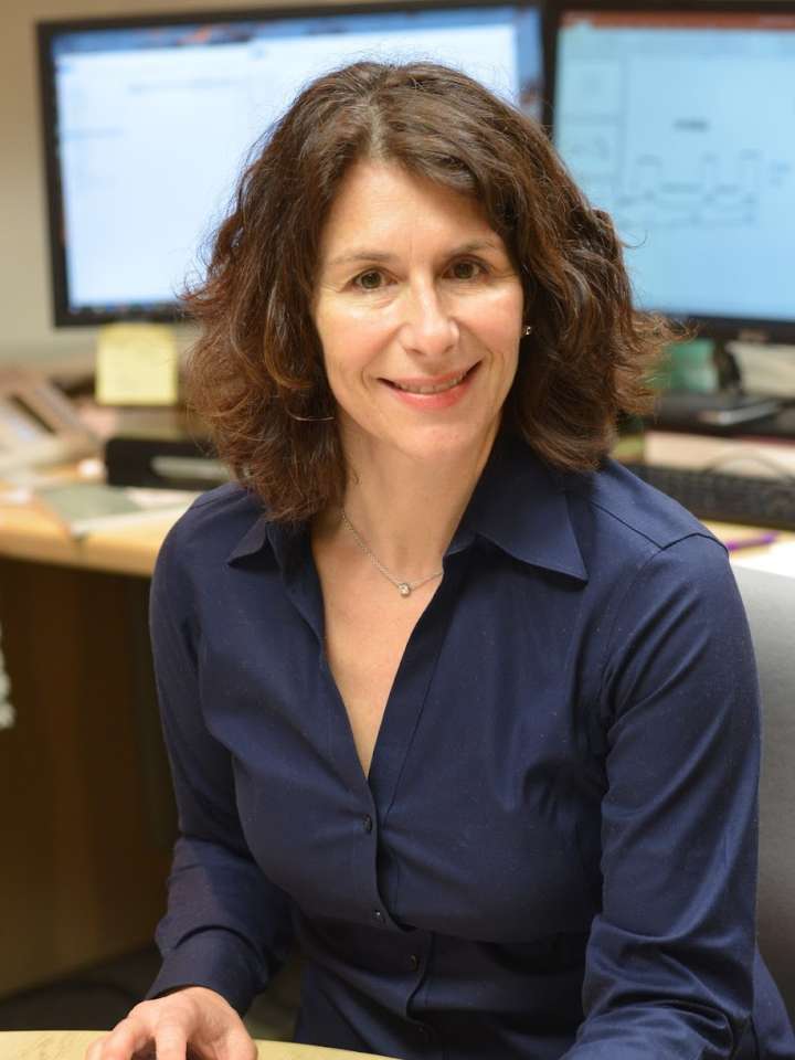 The Ottolia Laboratory - Anesthesiology | UCLA Health