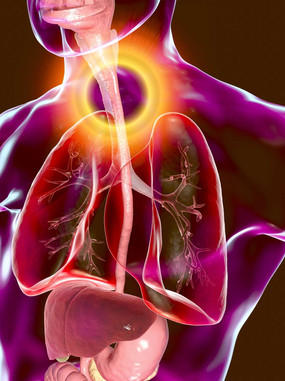 Esophageal Health | UCLA Health - Los Angeles, CA