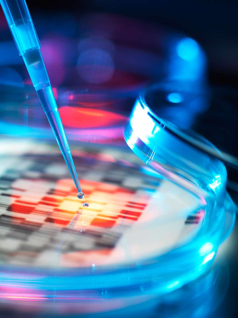 Cardiovascular Genetics - Los Angeles, CA | UCLA Health