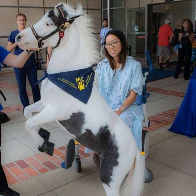 Mini Horse Surprise | UCLA Health